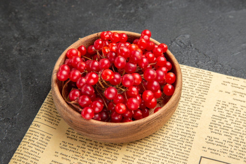 Os benefícios de cranberry - Dr.Bemestar